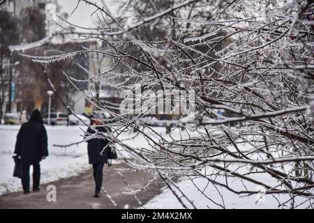 Lviv, Ukraine. 14th Dec, 2022. Tree branches are covered with ice after ...