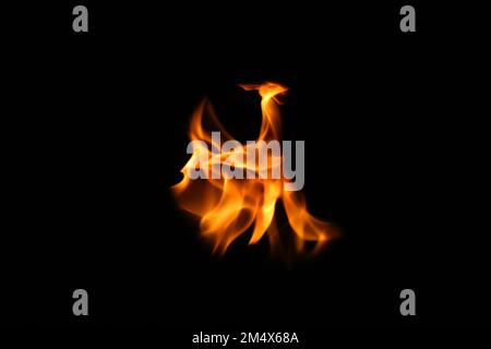 Defocus fire flames. Eagle silhouette Fire embers particles over black ...