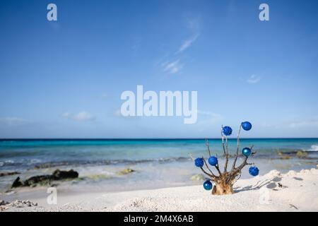 Dead corals decorated with blue Christmas balls standing on the sand ...