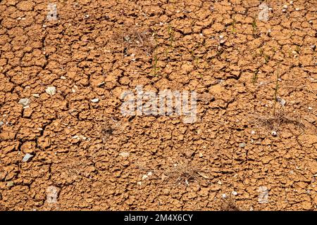 Dried clay soil. High quality photo Stock Photo - Alamy