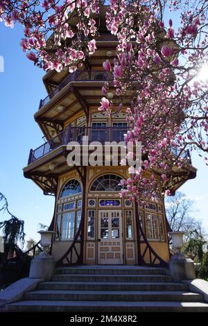 Flowers at Patterson Park, in Baltimore, Maryland Stock Photo - Alamy
