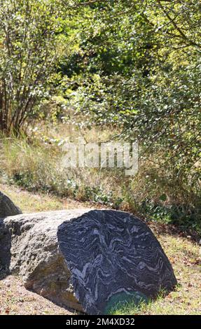 Swanscombe Heritage Park, site of Special Scientific Interested after ...
