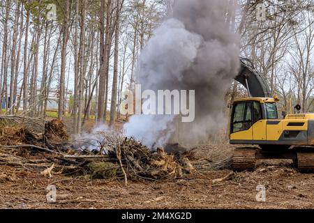 An uprooted forest is being burned in construction site for purpose of ...