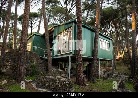 Green residential building in remote forest Stock Photo - Alamy