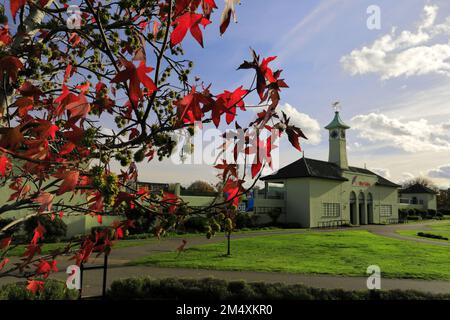Autumn view over the Lido swimming pool, Peterborough City ...