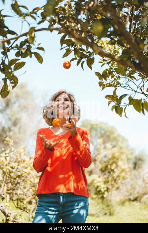 Happy mature woman juggling oranges standing by tree in garden Stock ...