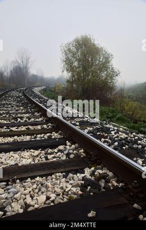 Railroad track on an embankment next to trees on a foggy day in autumn ...