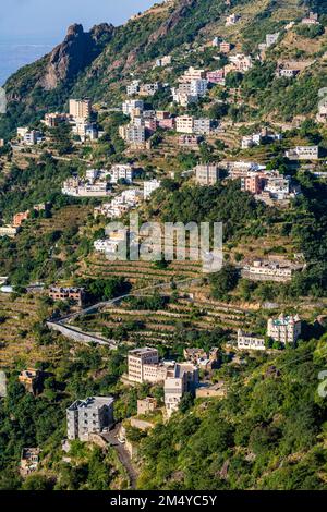 Green terraces, Fayfa mountain, Jazan province, Saudi Arabia Stock ...