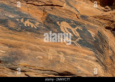 Ancient rock art at Jubbah in the Hail Province of Saudi Arabia Stock ...