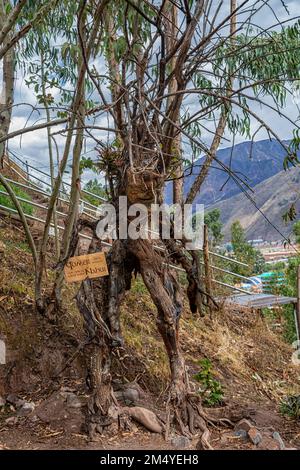 Cusco, Peru - September 26, 2022: Characters from Lord of the Rings ...