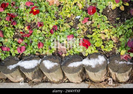 Wooden ground slightly covered with snow Stock Photo - Alamy