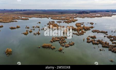 A drone shot of Ludosko lake with autumn plants and surrounded by ...