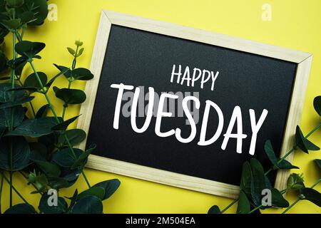 Happy tuesday text decoration with eucalyptus leaves on purple ...