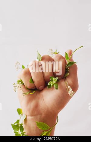 Fragile, but strong leaves Stock Photo - Alamy