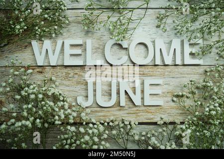 Welcome June alphabet letters with flowers on wooden background Stock ...