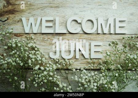 Welcome June alphabet letters with flowers on wooden background Stock ...