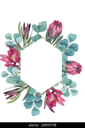 Hand painted watercolor magenta protea flowers border Stock Photo - Alamy