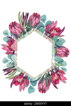 Hand painted watercolor magenta protea flowers border Stock Photo - Alamy