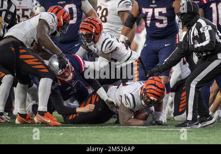 Cincinnati Bengals defensive tackle BJ Hill (92) reacts during an NFL ...