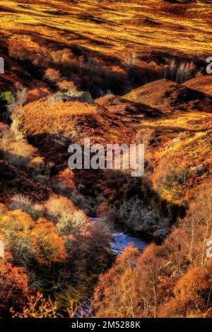 Caisteal na Coille broch (Castle Cole Stock Photo - Alamy