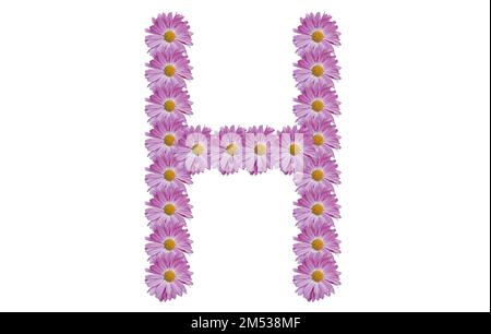 Letter T made with pink flower isolated on white background. Spring ...