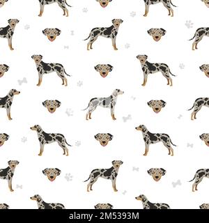 American leopard hound all coat colors clipart. All dog breeds ...