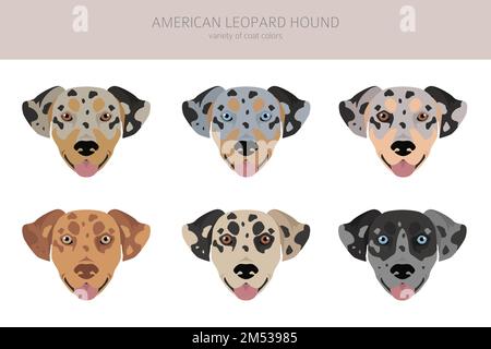 American leopard hound all coat colors clipart. All dog breeds ...