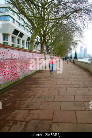 A view of the Covid Memorial Wall, close to Westminster Bridge, City of ...