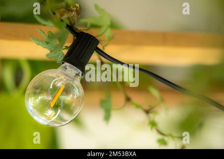 A closeup shot of a light bulb seen hanging on the ceiling of an indoor ...