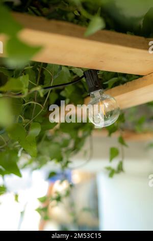 A closeup shot of a light bulb seen hanging on the ceiling of an indoor ...