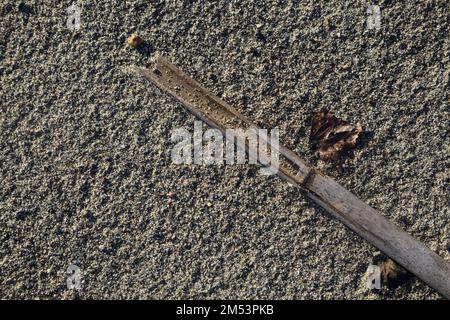 Broken cane on the sand seen up close Stock Photo - Alamy