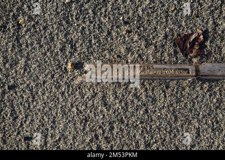 Broken cane on the sand seen up close Stock Photo - Alamy