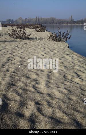 Road with cypresses on an embankment by a river with its reflection on ...