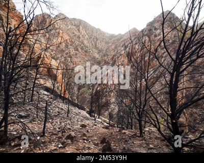 Wild jagged peaks and burnt trees above Standley Chasm on Section 3 of ...