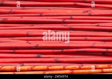 Bamboo sticks, Tonkin sticks, Background, Texture, Germany Stock Photo ...