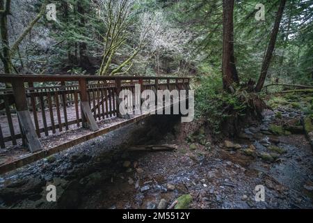 A stream in Purisima creek redwoods preserve in San Mateo county ...