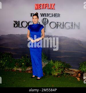 Minnie Driver, The Witcher: Blood Origin - World Premiere, BFI ...