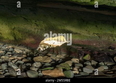 Back entrance to the Waenhuiskrans Cave near Arniston in the Western ...
