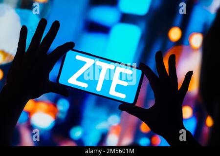 Brazil. 26th Dec, 2022. In this photo illustration, the Hewlett Packard ...