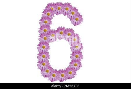 flower number six. Floral element of colorful alphabet made from straw ...