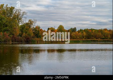 Undisturbed shoreline if a lake during the fall season Stock Photo - Alamy