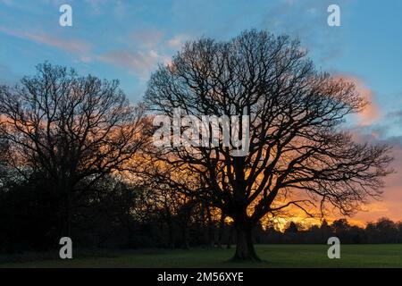 Sunset on Southampton Common Stock Photo - Alamy