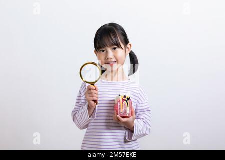 Asian Korean child with tooth miniature Stock Photo - Alamy