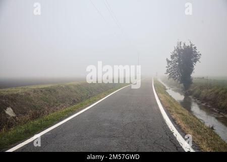 Tree by the edge of an irrigation channel next to a country road on a ...