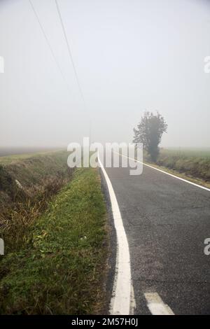 Tree by the edge of an irrigation channel next to a country road on a ...