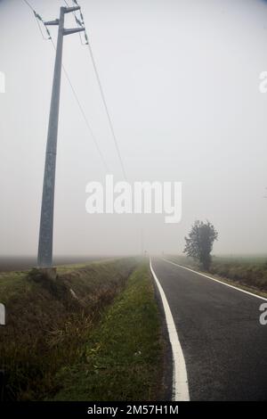 Tree by the edge of an irrigation channel next to a country road on a ...