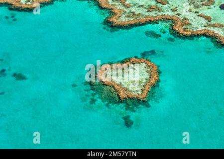 Heart Reef. Hardy reef. Great Barrier Reef. Queensland. Australia Stock ...