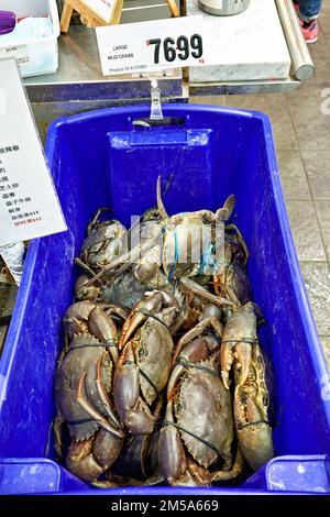 Blue Crabs At Fish Market Chesapeake Bay Maryland // CHESAPEAKE BAY ...