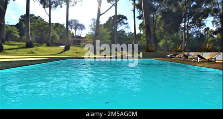 Amazing sunset view in the jungle Stock Photo - Alamy