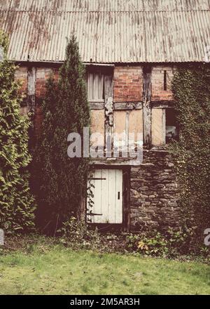 Run down abandoned white building in country with gnarly tree and ...